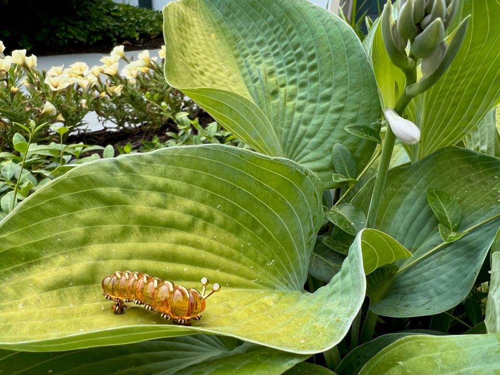 A Fancy Fat Caterpillar - Pook & Pook Inc.